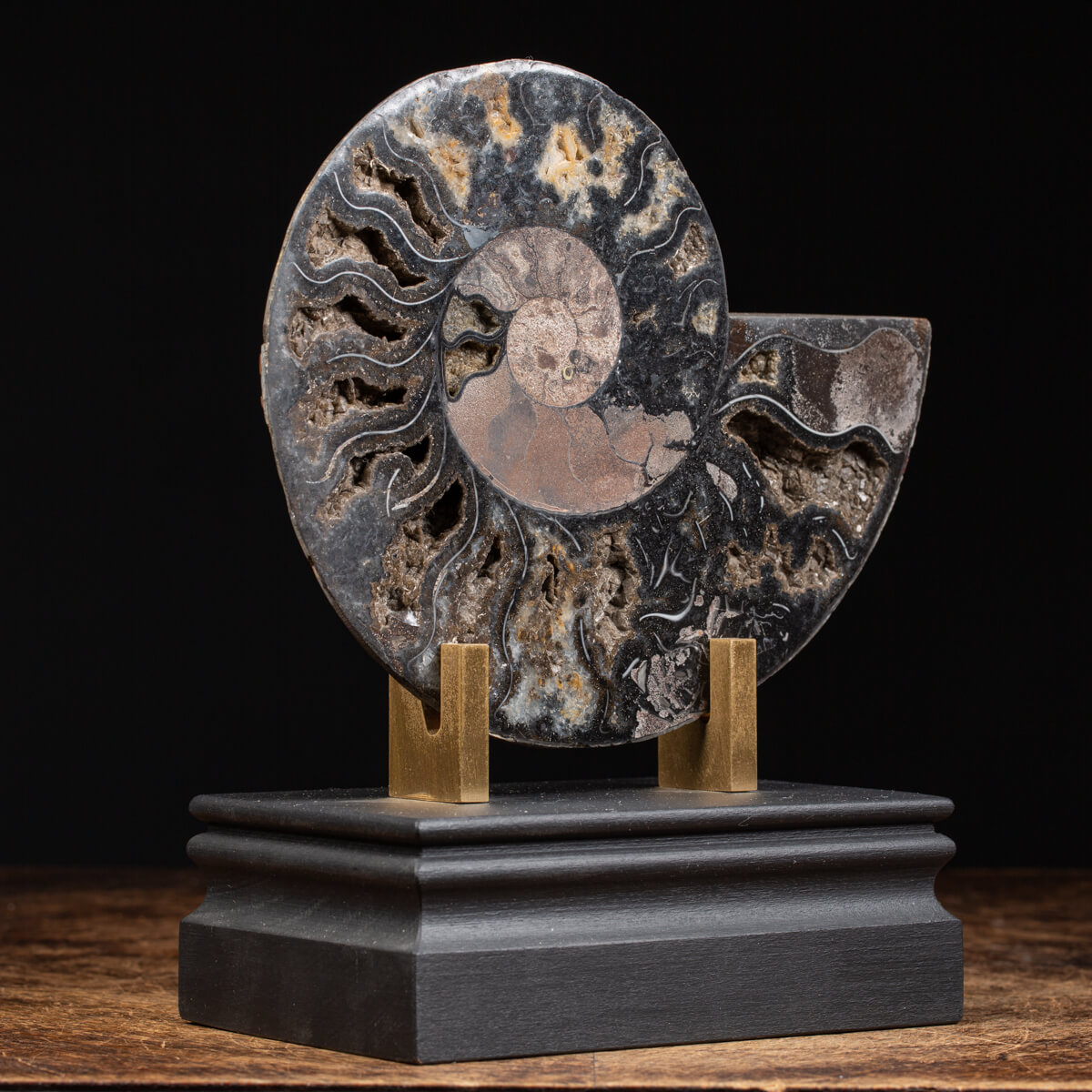 Ammonite Nera - Madagascar