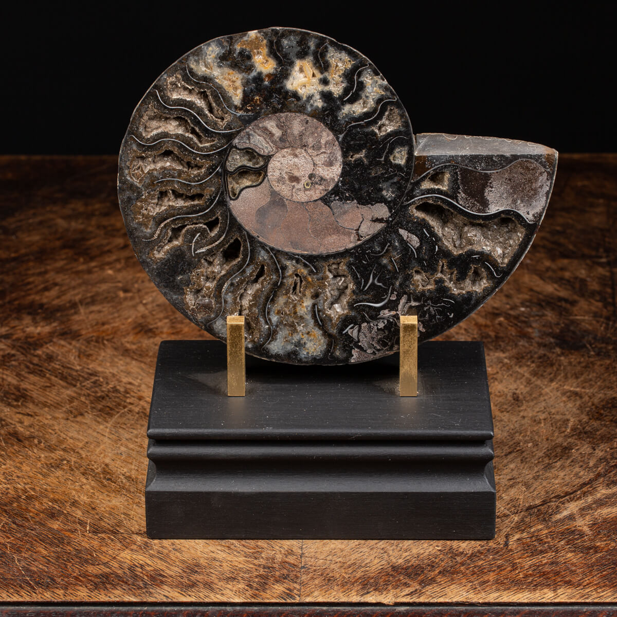 Ammonite Nera - Madagascar