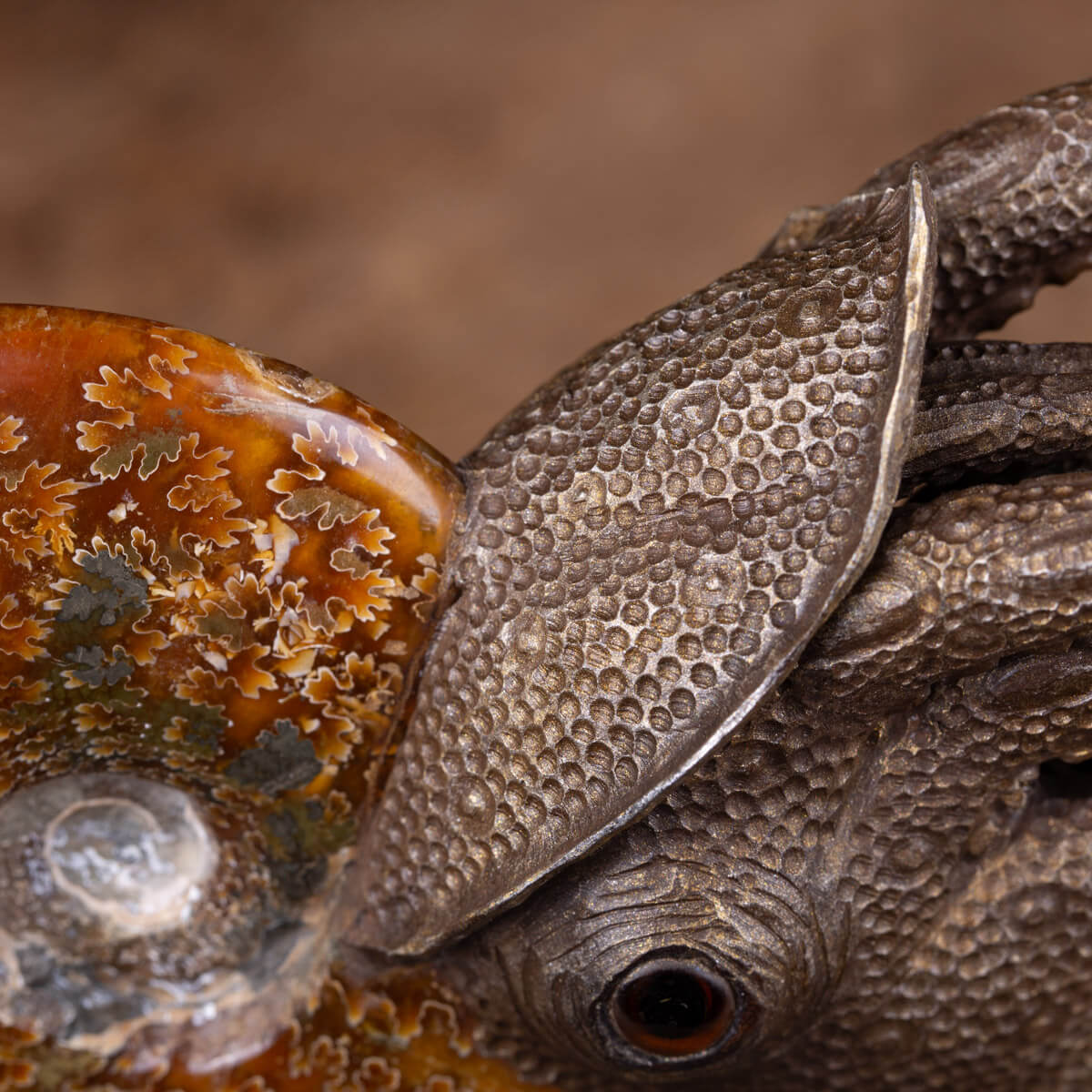 Sculpture d'ammonite réaliste