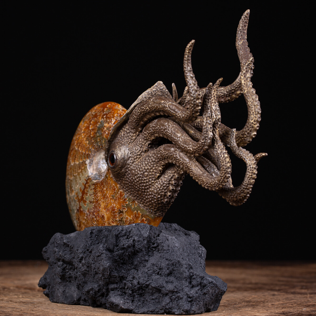 Sculpture d'ammonite réaliste
