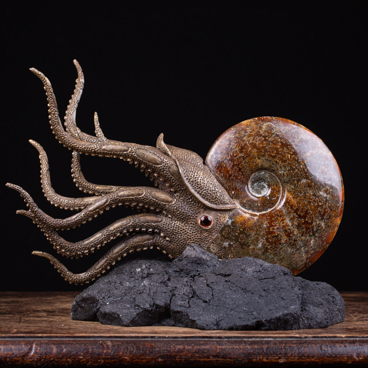Scultura Ammonite - SAO-06