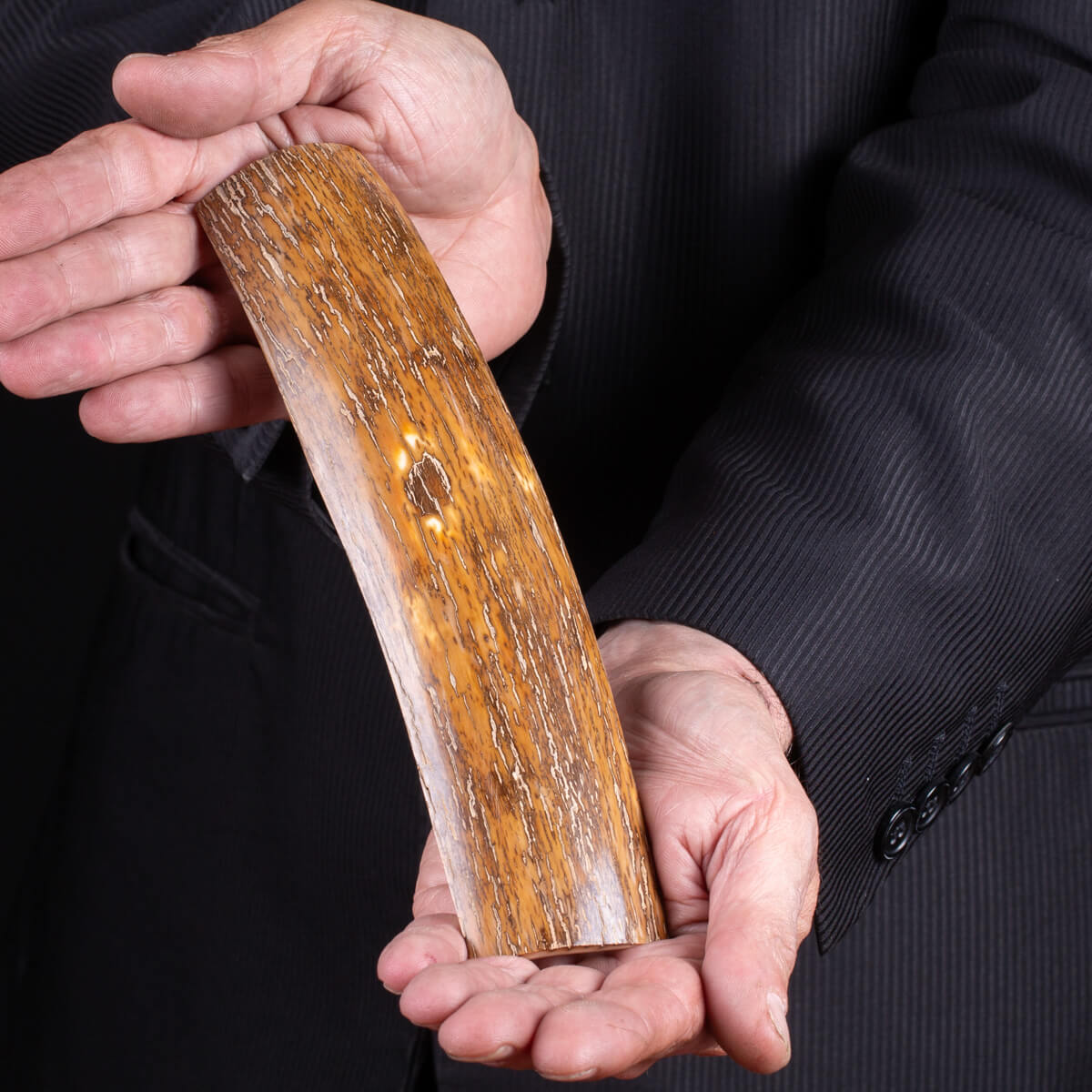 Woolly Mammoth Tusk (Mammuthus Primigenius). - MMT-54