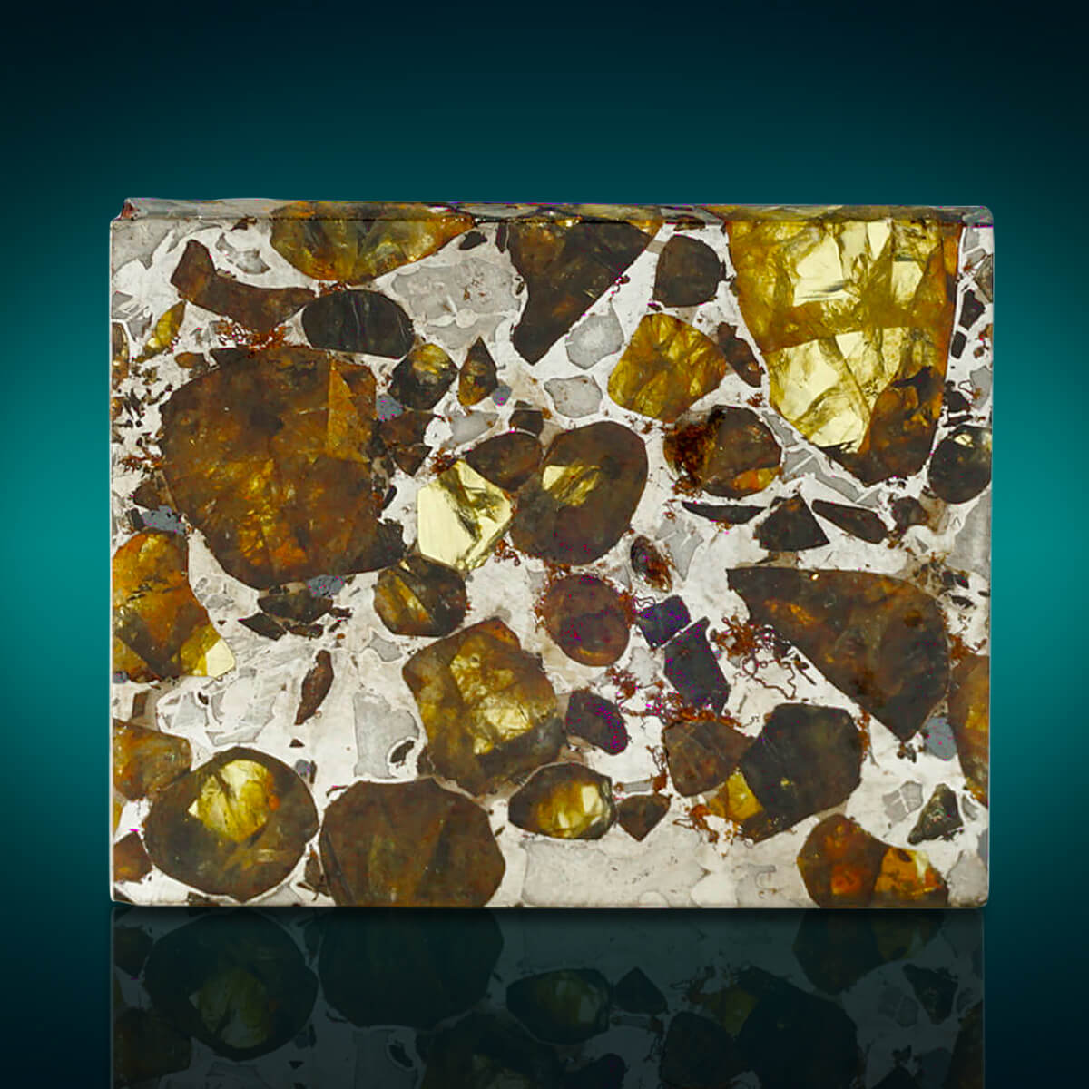 Pallasite Brahin Bielorussia