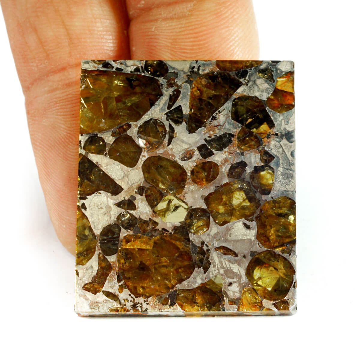 Pallasite Brahin Bielorussia
