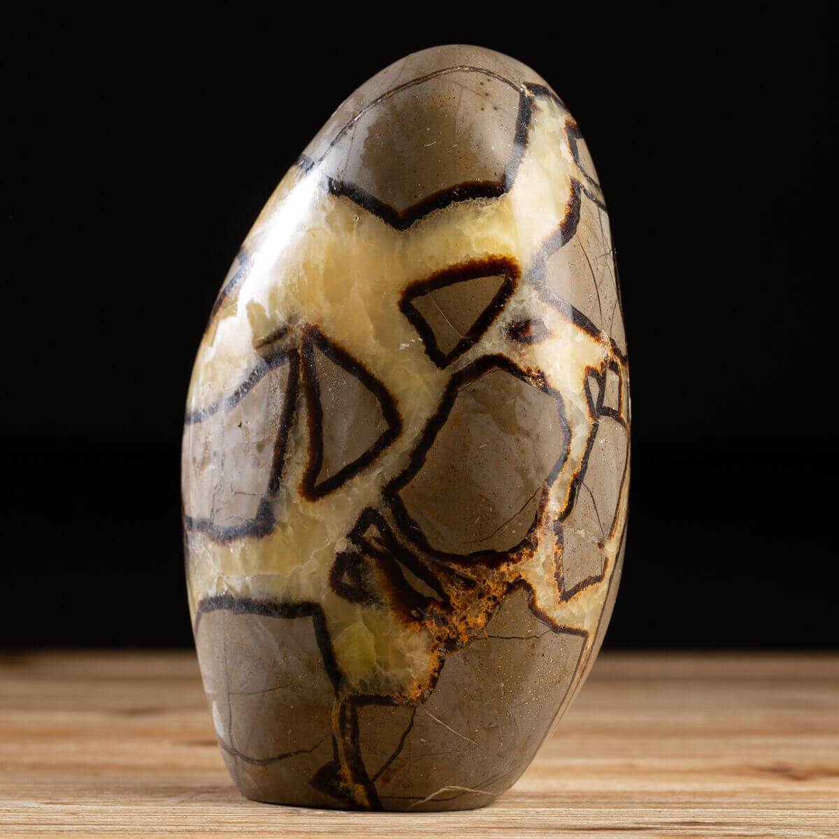 Septaria Sasso Lucido