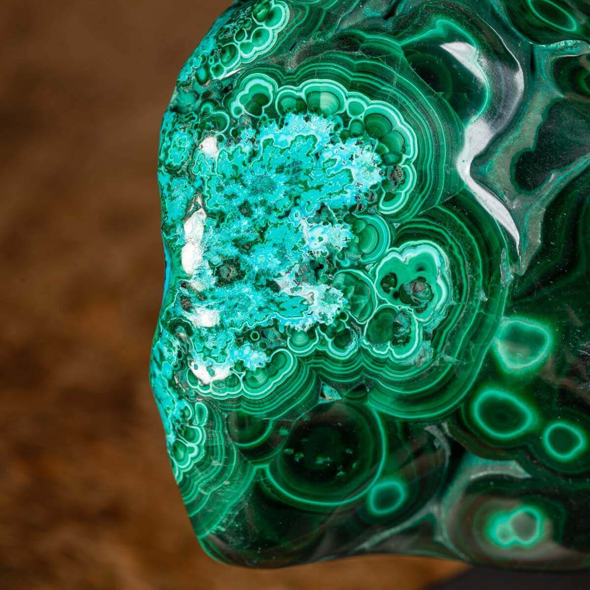 Malachite Prima Scelta Montata su Base - MAC-187